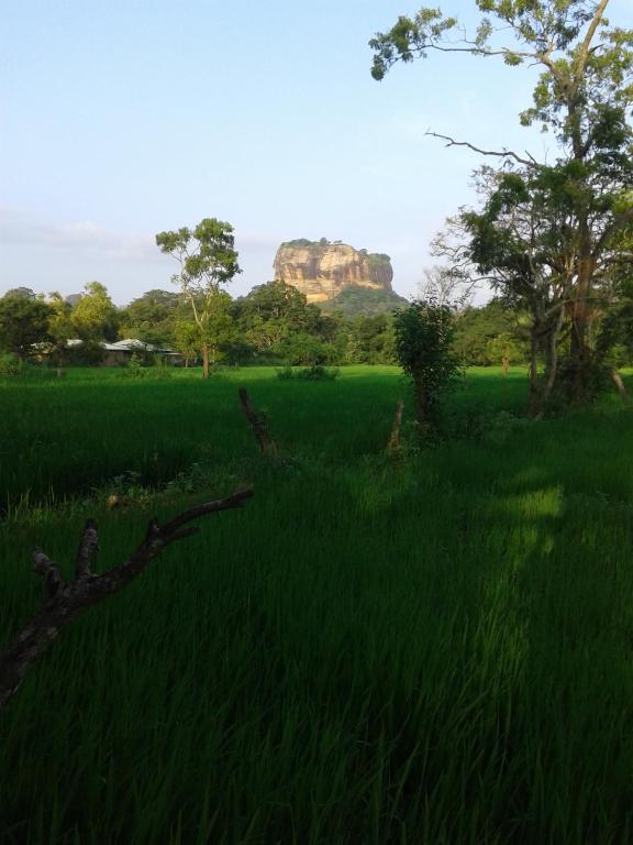 Sigiri Leisure Holiday Home in Sigiriya - Welcome